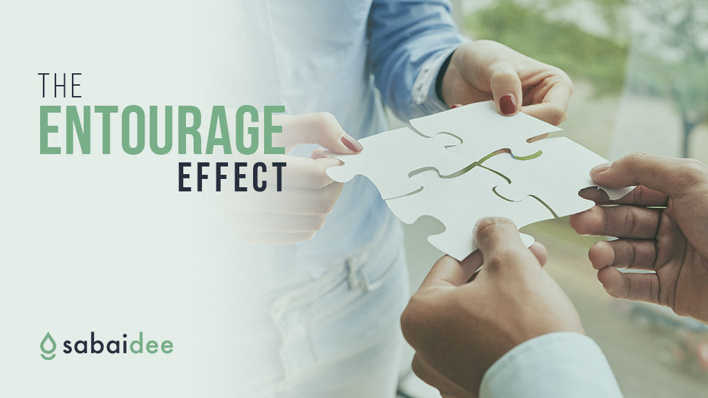 The Entourage Effect - How Does it Work? – SabaiDee