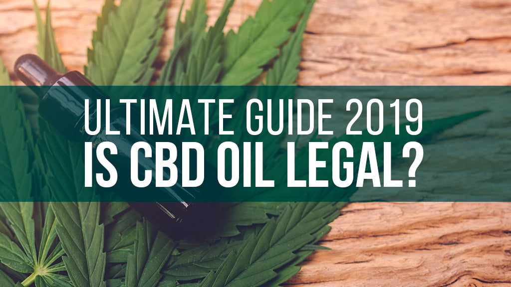 Is CBD Oil Legal In The United States? Here's What You Need to Know ...