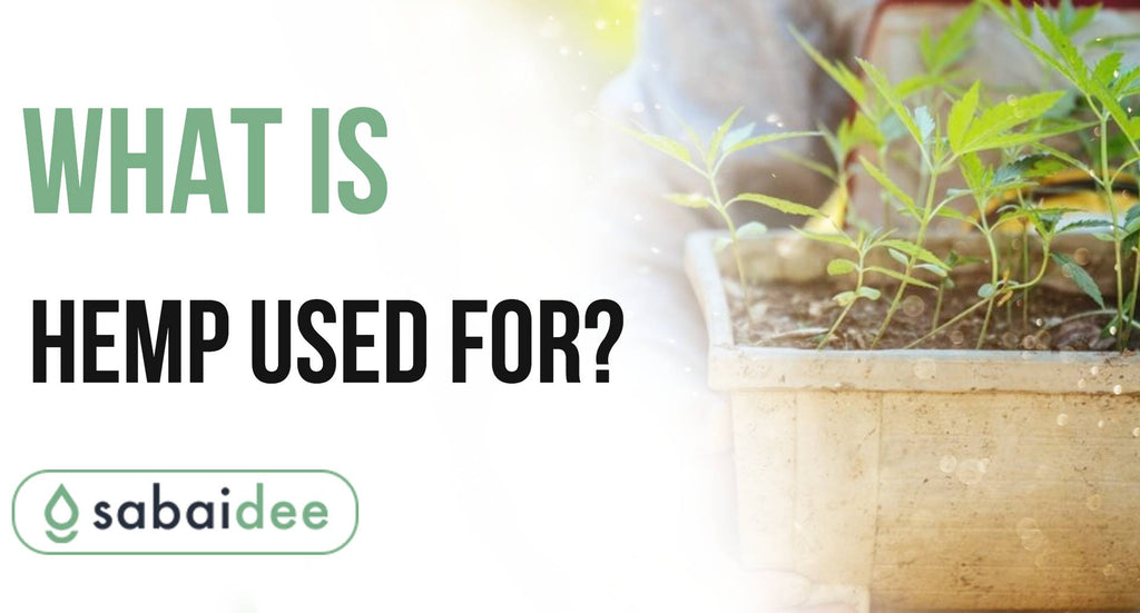 What is Hemp Used For? (Hemp Uses, Information & Facts) – SabaiDee